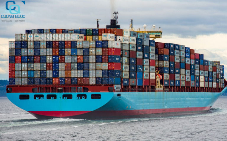 TEU là gì? Cách sử dụng TEU trong hoạt động của cảng - Cường Quốc Logistics